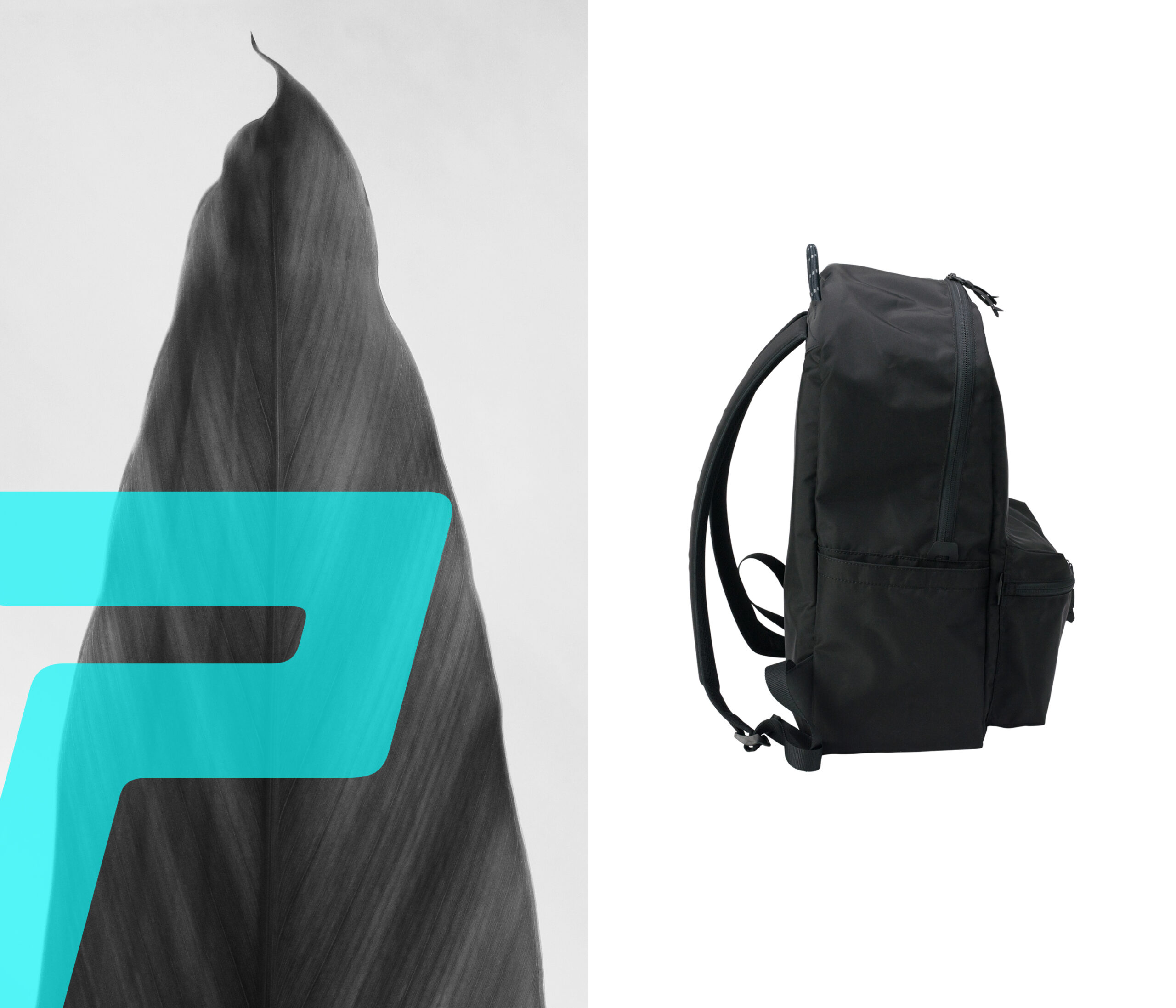 RNO - New life Project Official Site／ニュー ライフ プロジェクト公式サイト